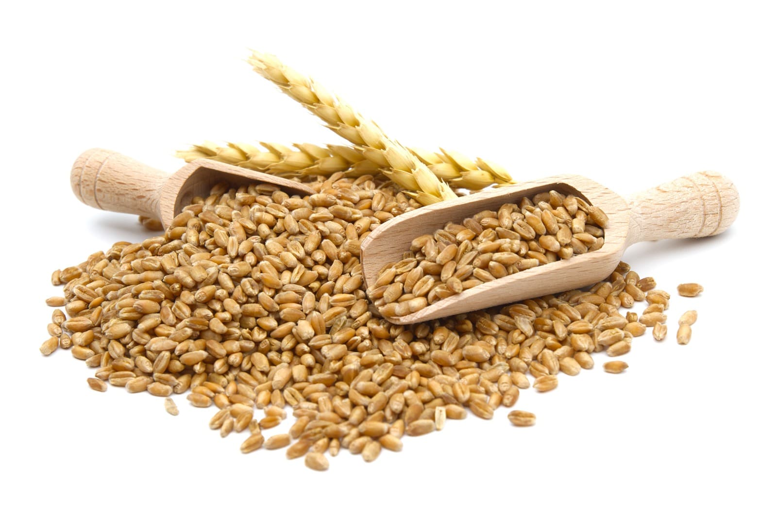 8 Manfaat Gandum untuk Kesehatan dan Efek Sampingnya