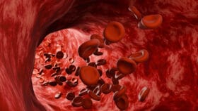Fungsi Hemoglobin (Hb) dan Kadar Normalnya